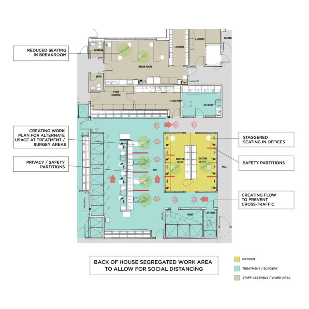 Design Considerations for Reopening Animal Care Facilities Safely
