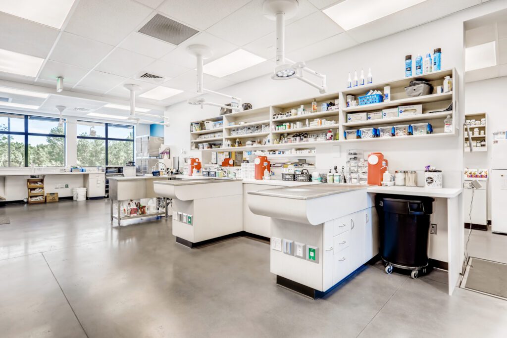 Hospital Design Article: Award-Winning Project Featured in dvm360
