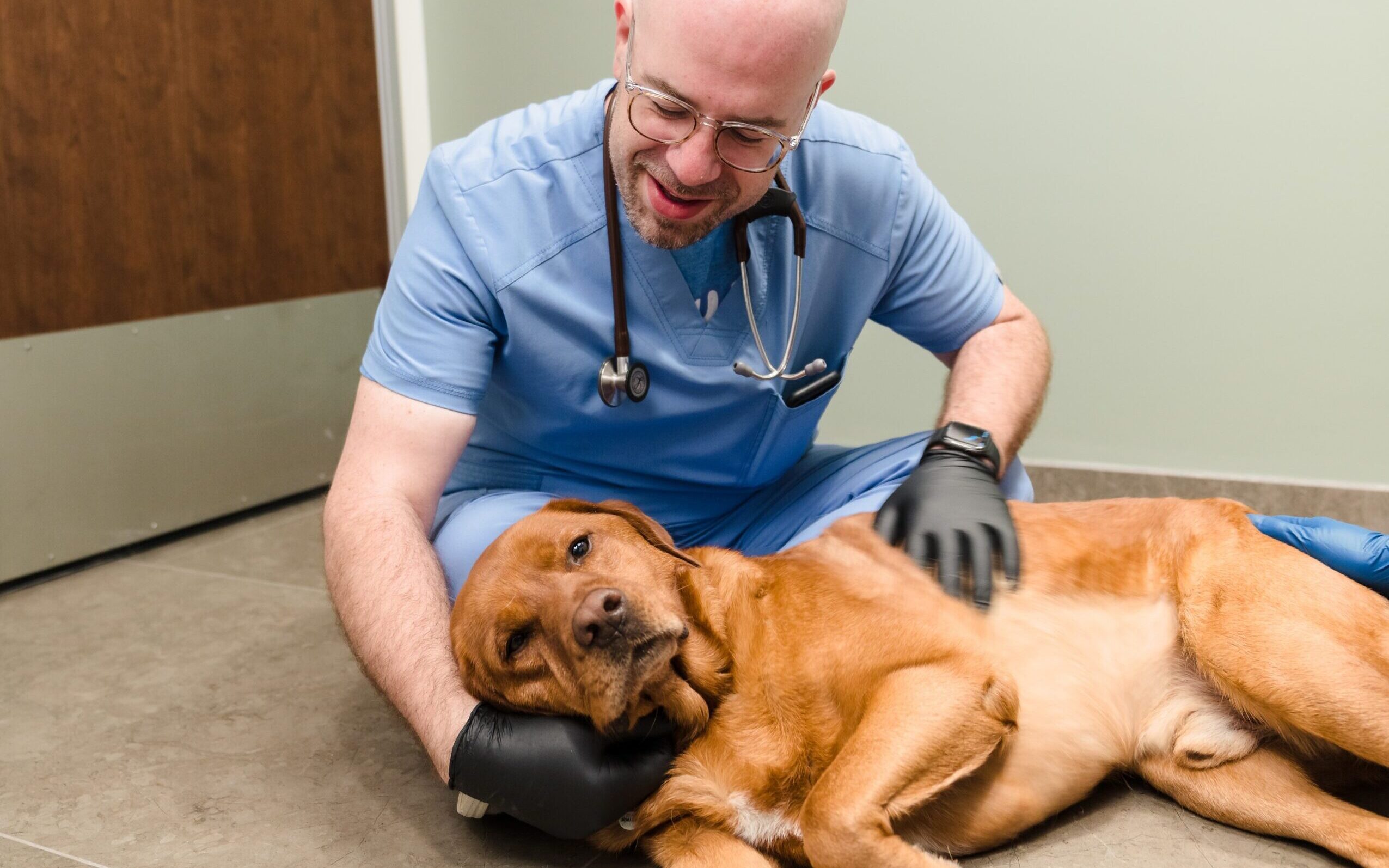 New Build Vs. Renovation Vs. Expansion