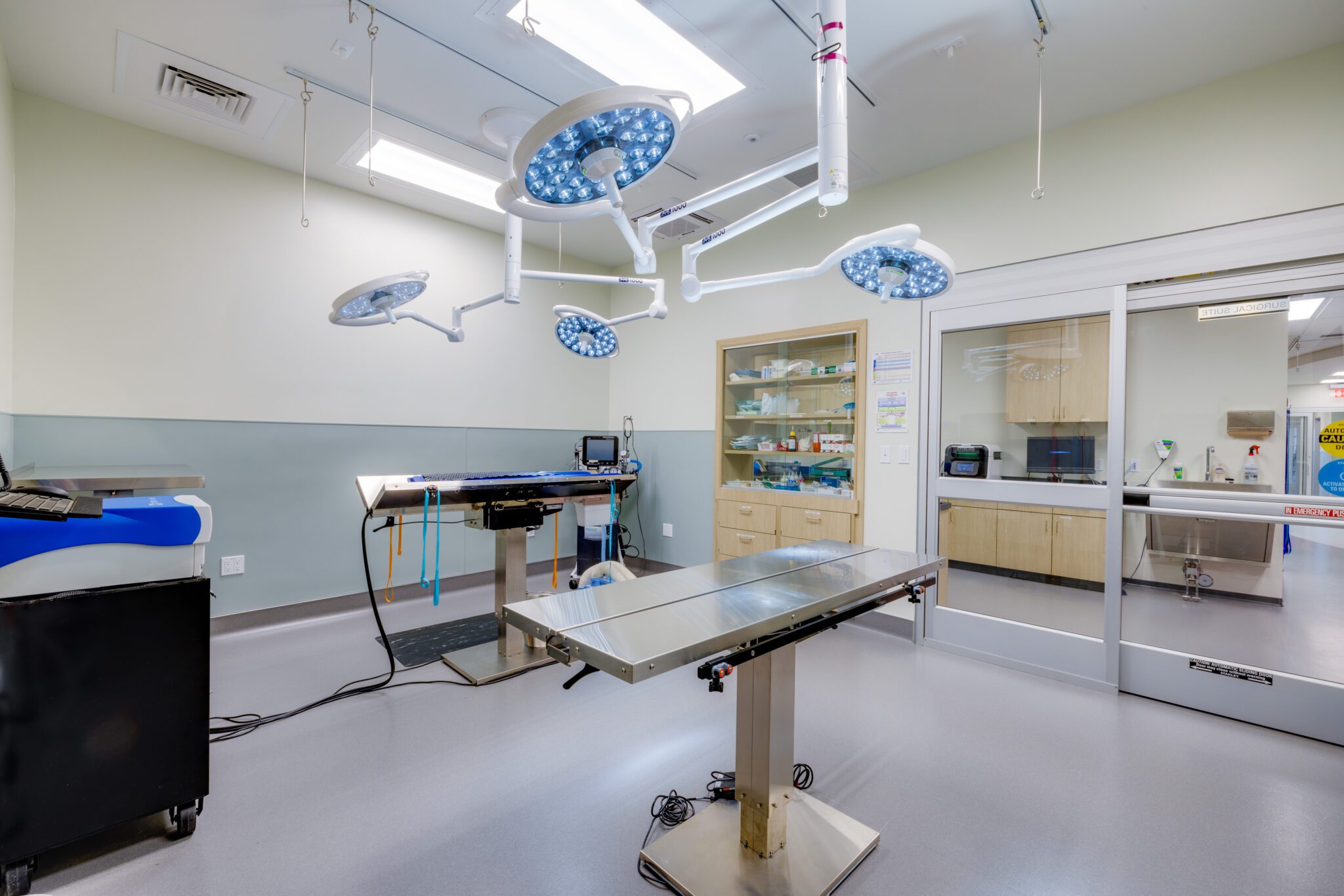 Center Veterinary Clinic and Urgent Care