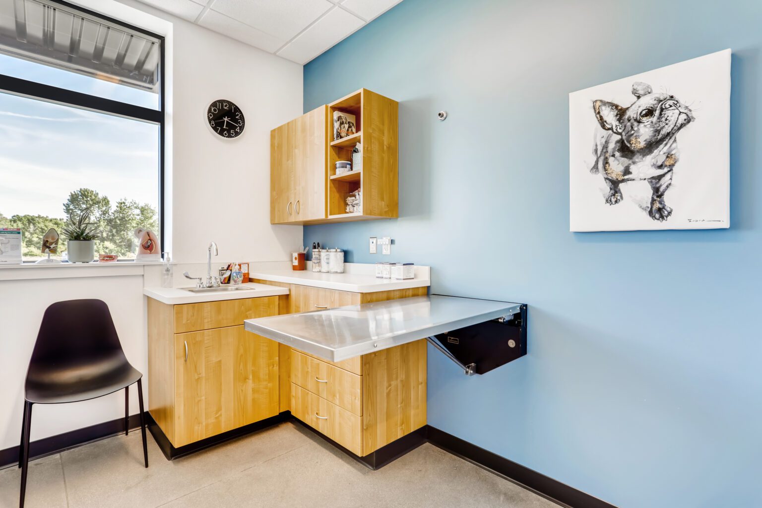 7 Fear Free Design Tips & Approaches