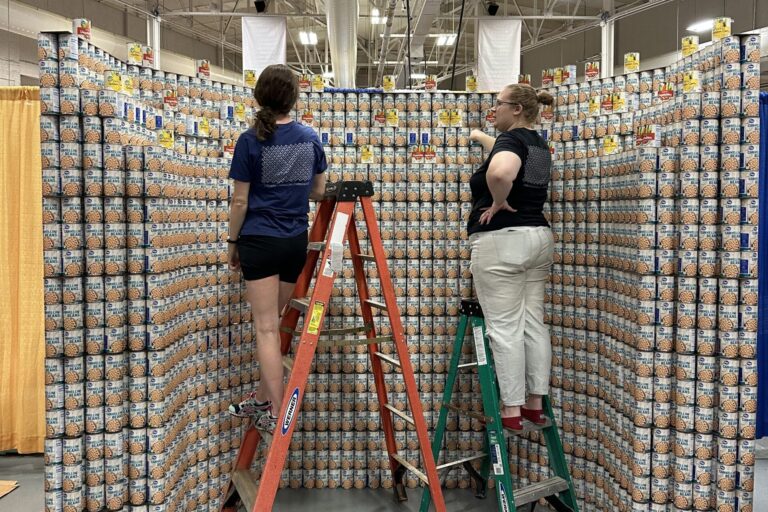 Cans for a Cause: Indiana State Fair Canstruction