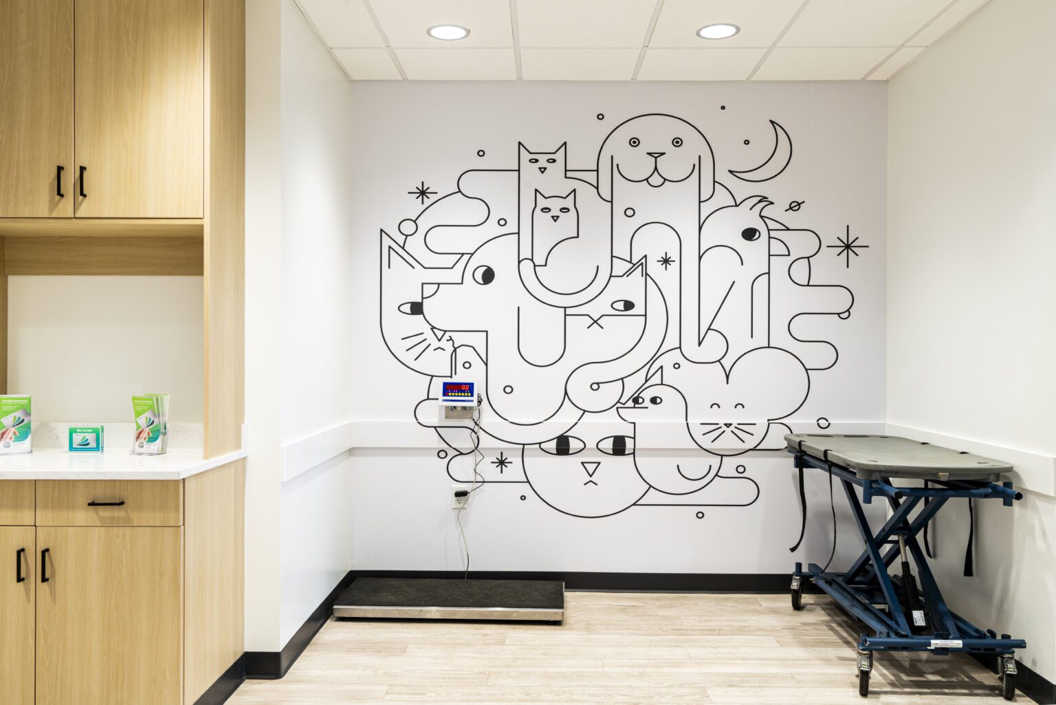 The Advantages of Partnering with a Veterinary Architect