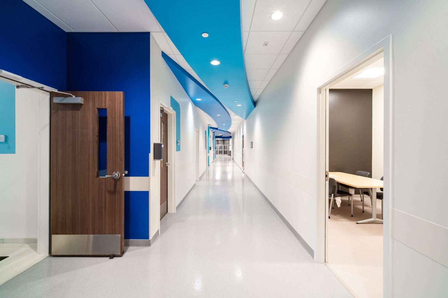 7 Fear Free Design Tips & Approaches