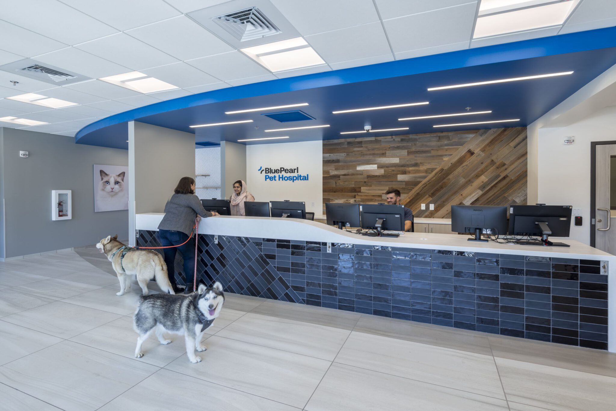 Veterinary Clinic & Hospital Design Projects
