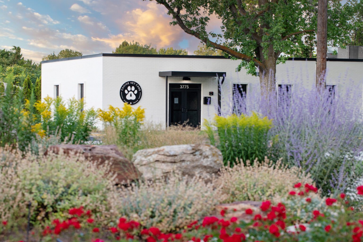 Veterinary Clinic & Hospital Design Projects